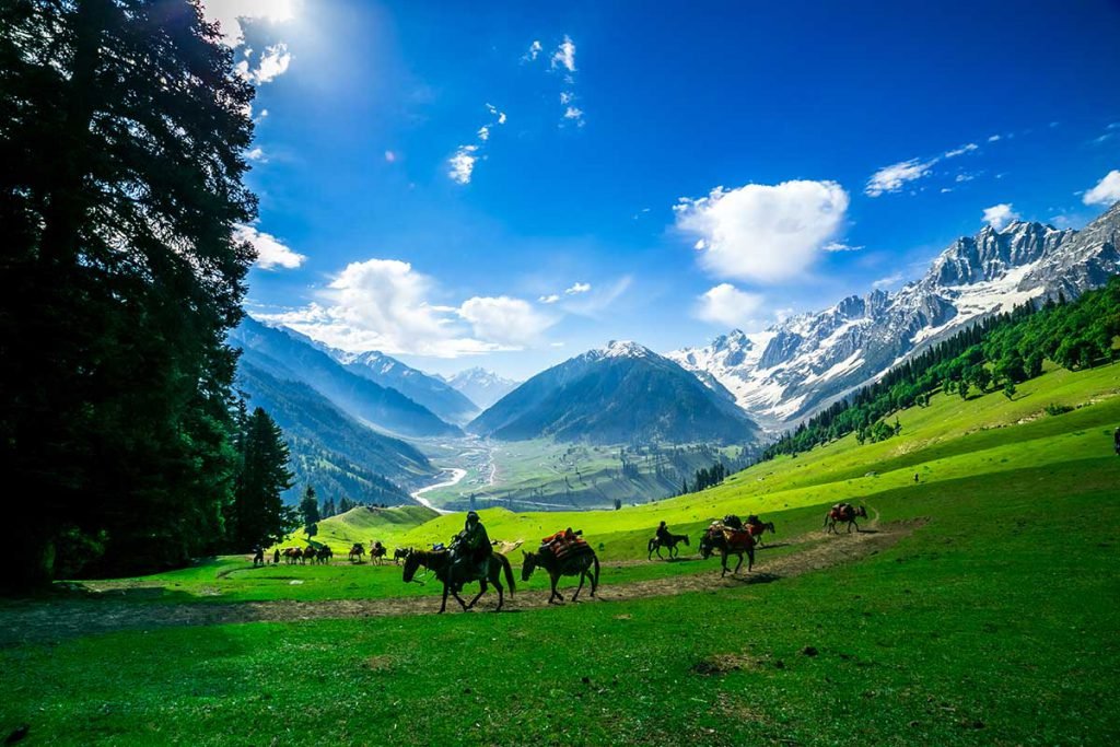 Kashmir Tour , Heaven on Earth - Kashmir Online