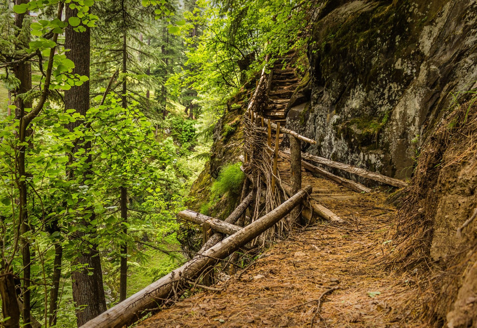 Kashmir Forest Block - Kashmir Online
